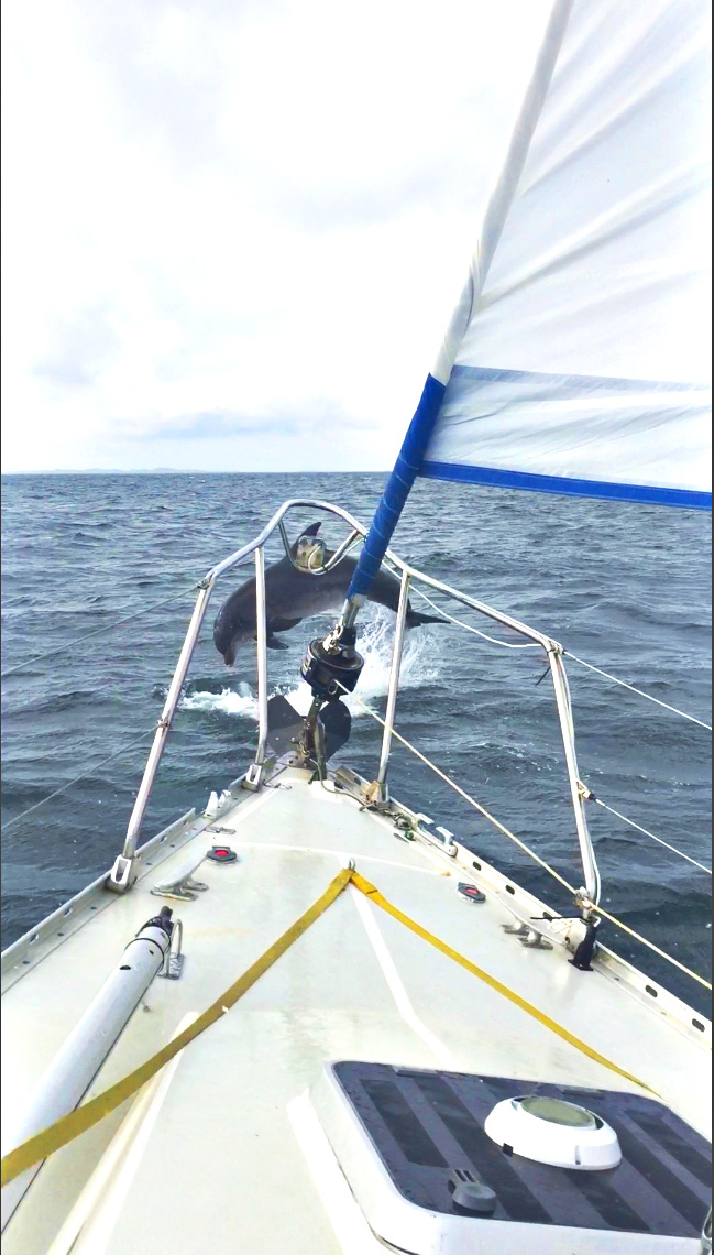 Lucky catch or great skill ??? - Alba Sailing